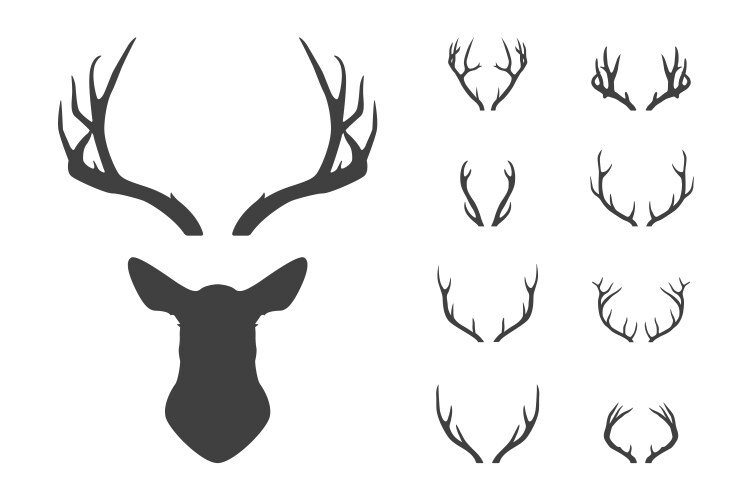 Deer head Royalty Free Vector Image - VectorStock