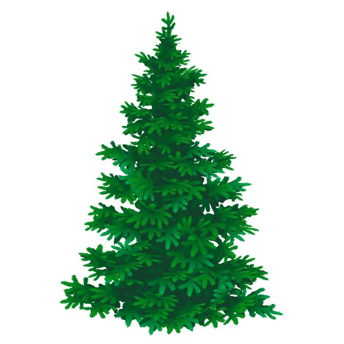 Pine tree Royalty Free Vector Image - VectorStock