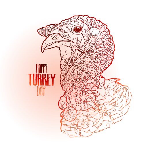 Funny turkey character cartoon drawing for kids Vector Image
