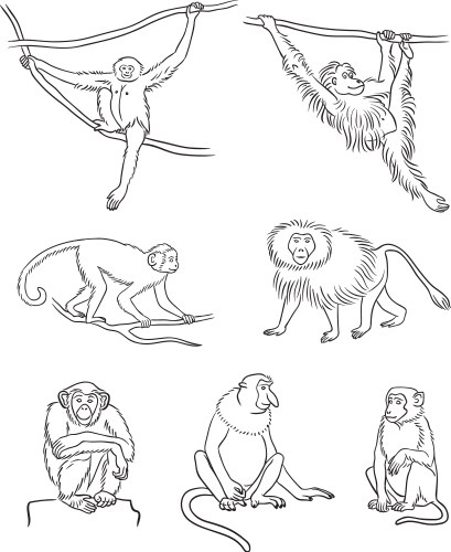 Monkey Outline Vector Images (over 9,500)