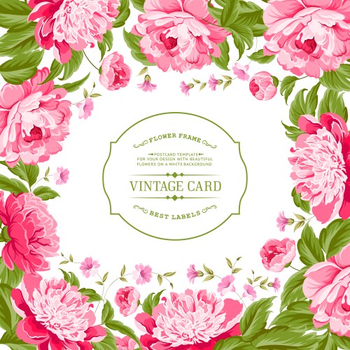 Peony Royalty Free Vector Image - VectorStock