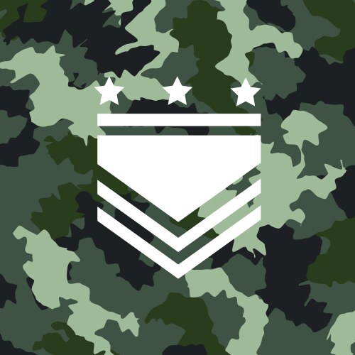 Military camouflage heart design Royalty Free Vector Image