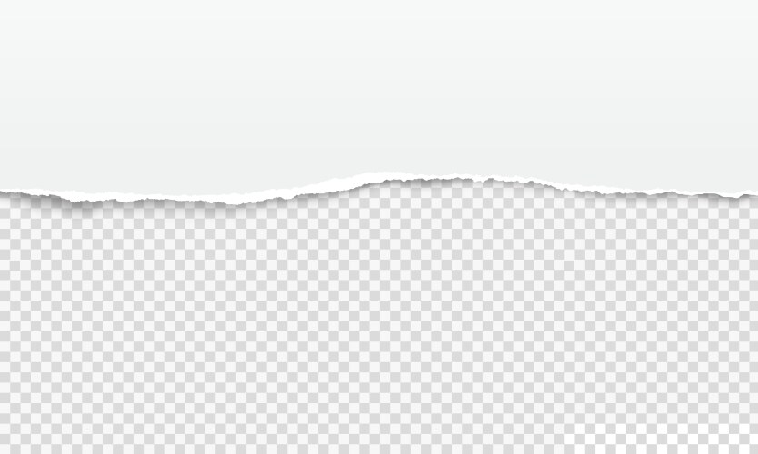 Newspaper Tear Vector Images (over 1,100)