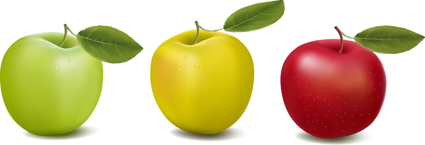 Apple Vector Images (over 230,000)