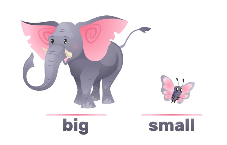 Opposite adjectives words with big and small Vector Image