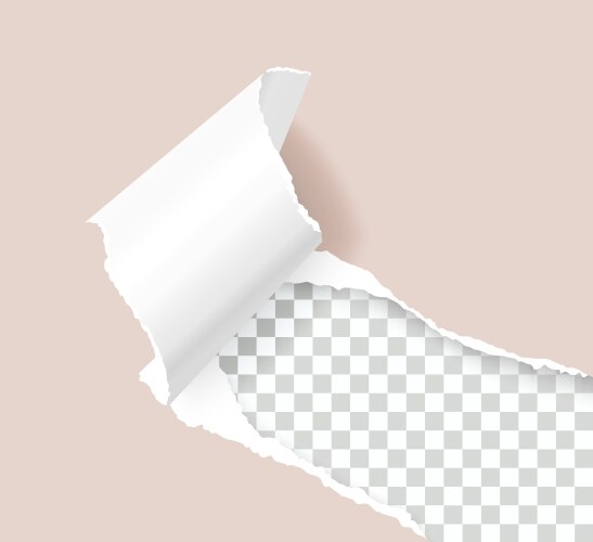 Paper Burst Vector Images (over 7,500)