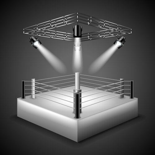 Boxing Vector Images (over 1.3 million)