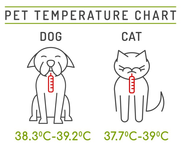 Normal temperature for a rabbit medical Royalty Free Vector