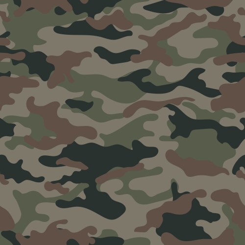 Light Camo Background Vector Images (over 550)