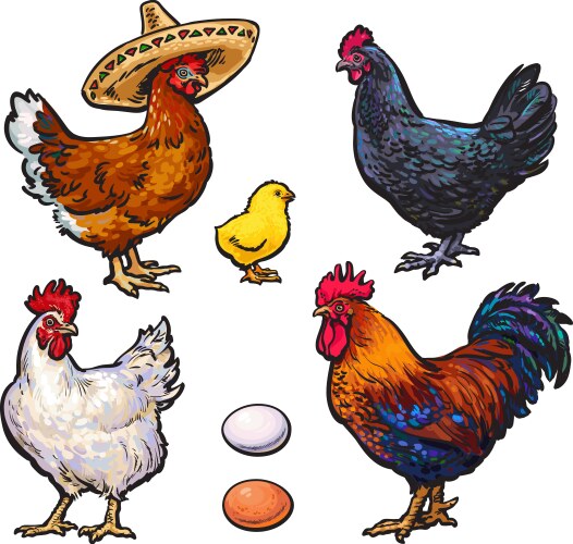 Chickens Vector Images (over 220,000)