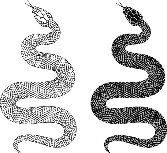 Snake on a white background two options Royalty Free Vector