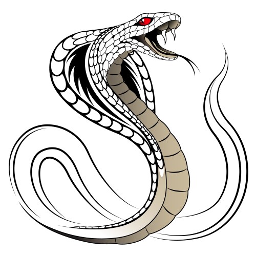 Snake Vector Images (over 62,000)