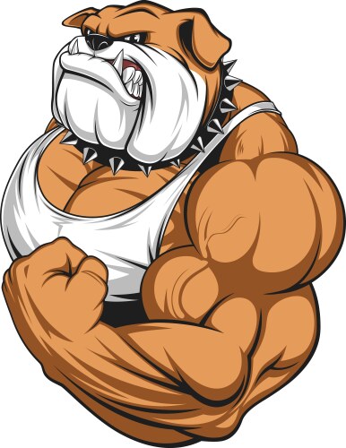 Angry dog bodybuilder Royalty Free Vector Image