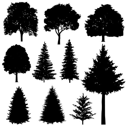 Forest Vector Images (over 730,000)
