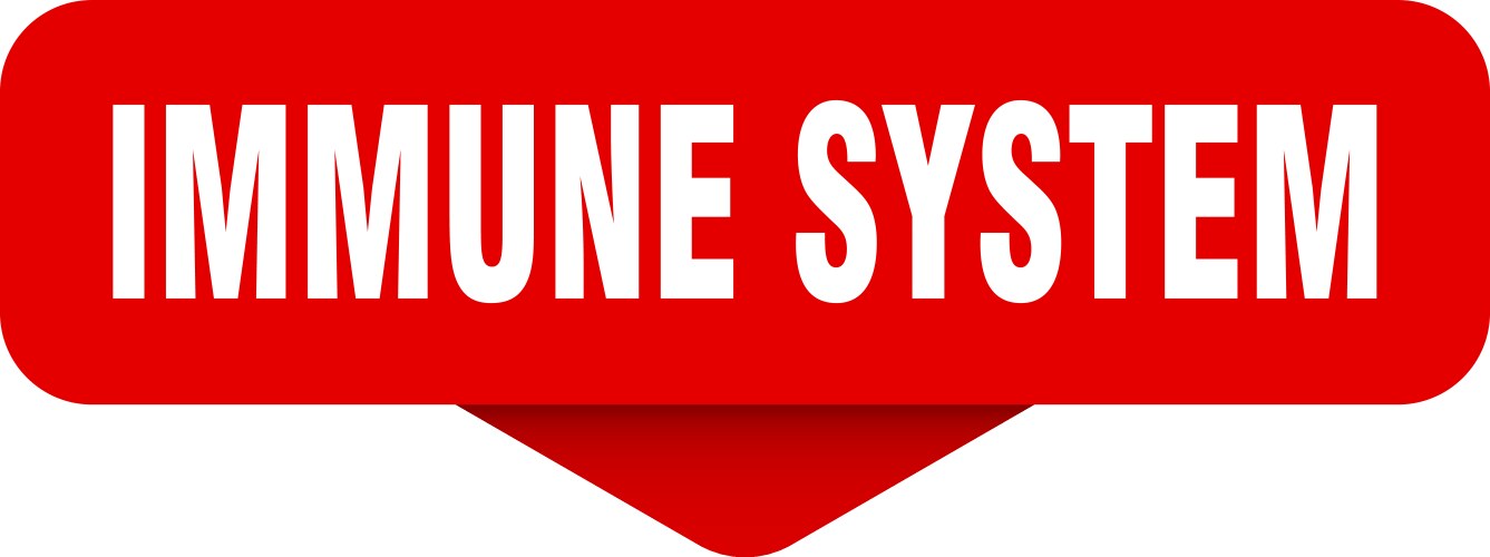 Immune system sticker sign Royalty Free Vector Image