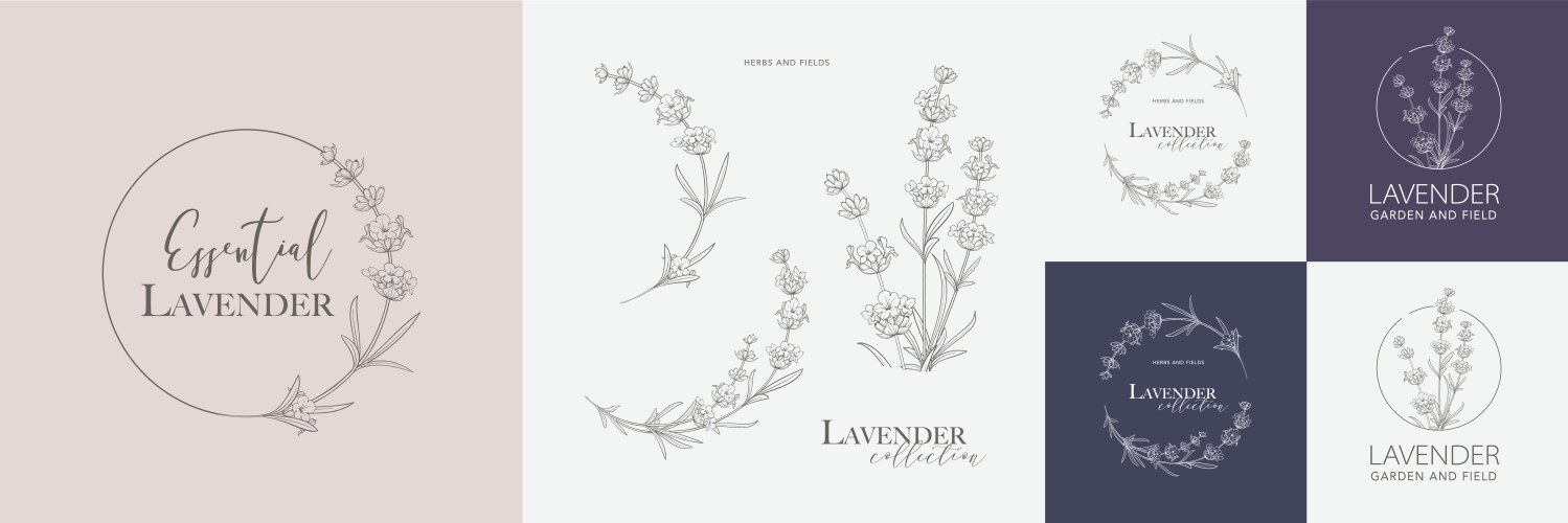 Lavender flower logo set floral design Royalty Free Vector