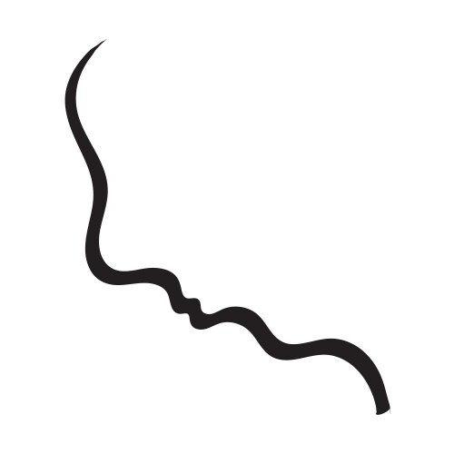 Abstract drawing profile face trendy portrait art Vector Image