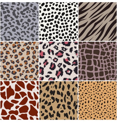 Animal skin pattern Royalty Free Vector Image - VectorStock