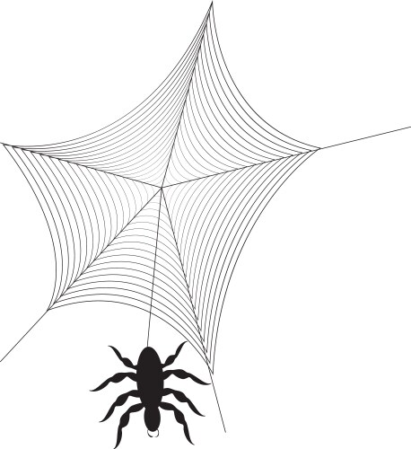 Spider Web Vector Images (over 36,000)