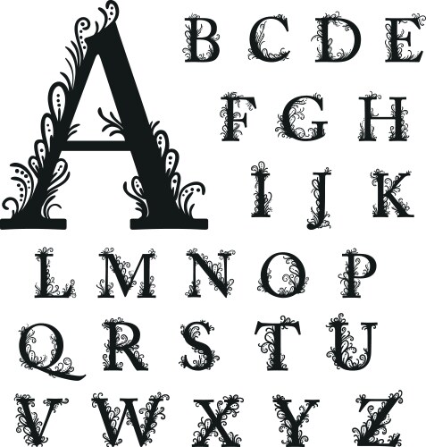 Scrapbook calligraphic vintage design element Vector Image