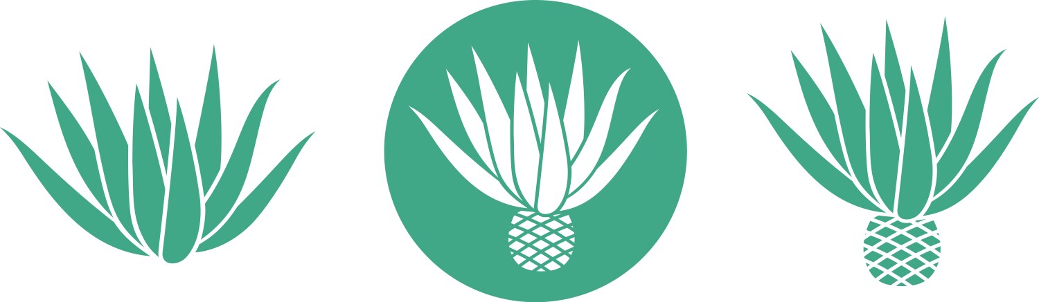 Agave Royalty Free Vector Image - VectorStock