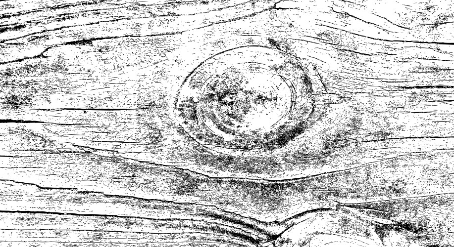 Tree Texture Vector Images (over 150,000)