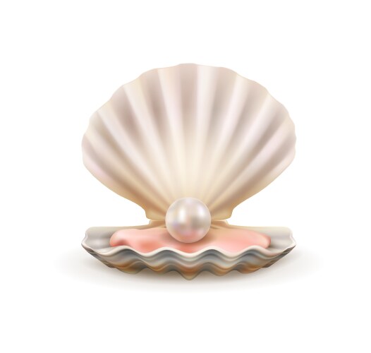 Precious pearl in opened shell realistic Vector Image
