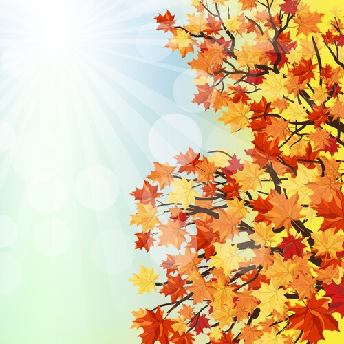 Autumn tree Royalty Free Vector Image - VectorStock