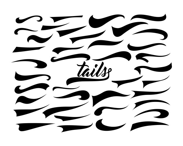 Baseball tails swoosh swash swish typography Vector Image