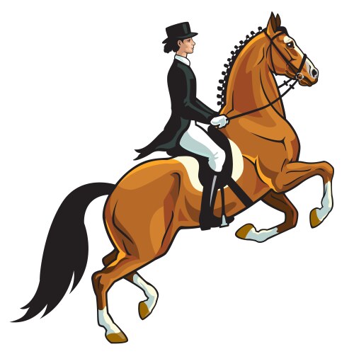 Horse Rider Vector Images (over 12,000)