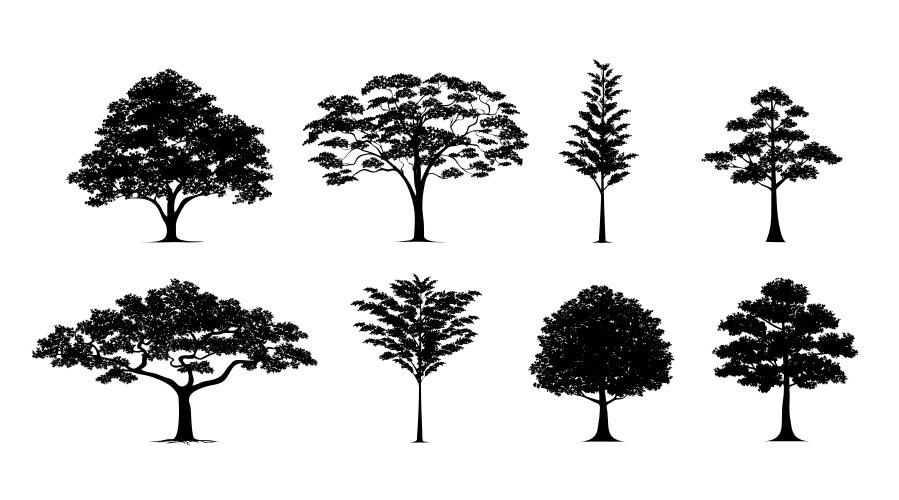 Tree Outline Vector Images (over 180,000)