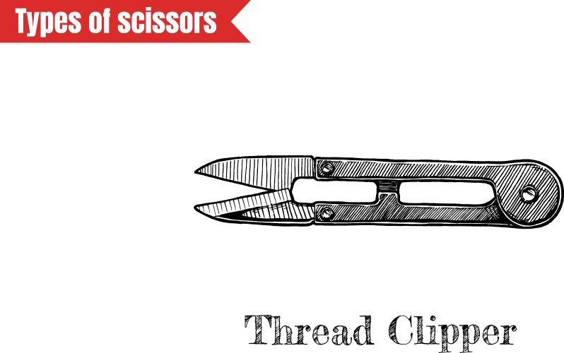 Thread Vector Images (over 100,000)