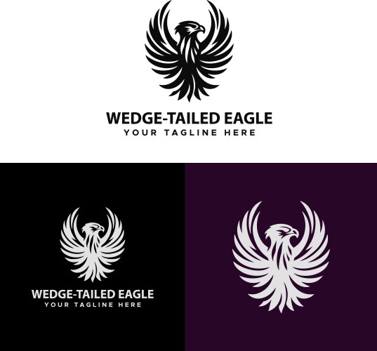Wedge Tail Eagle Vector Images (9)