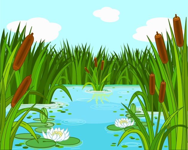 Pond Cartoon Vector Images (over 15,000)