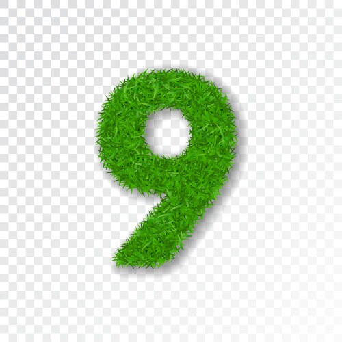 Grass numbers 1 2 3 4 green one two Royalty Free Vector