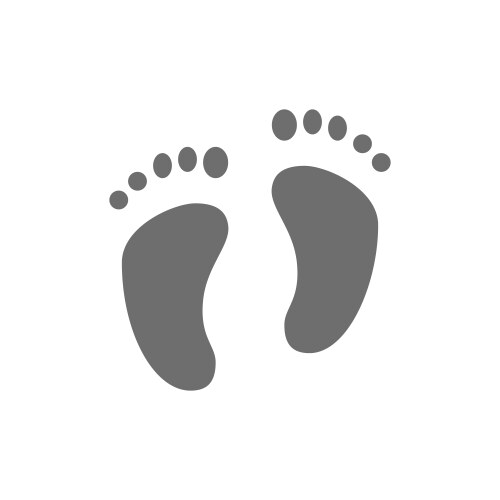 Elephant footprint Royalty Free Vector Image - VectorStock