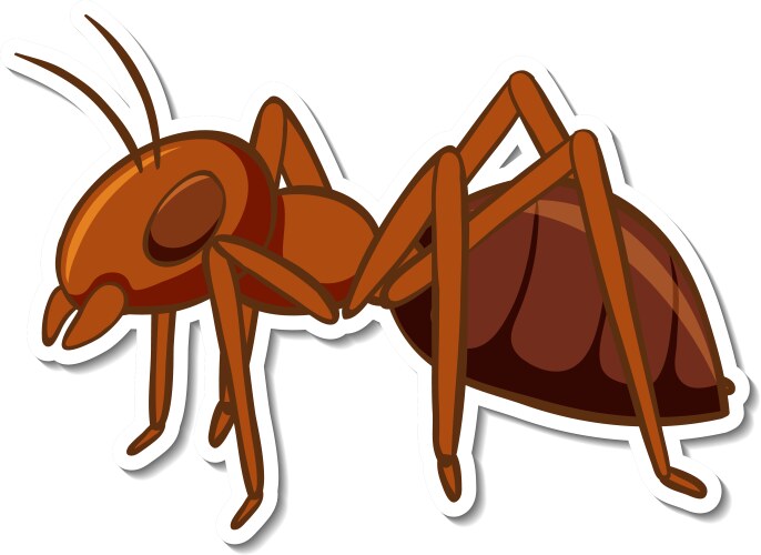 Happy ant cartoon Royalty Free Vector Image - VectorStock