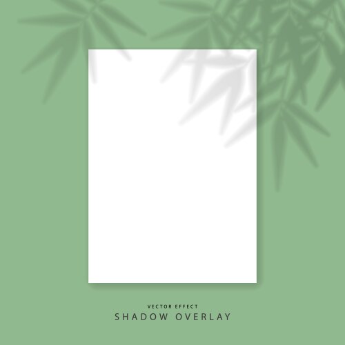 Shadow overlay effect Royalty Free Vector Image