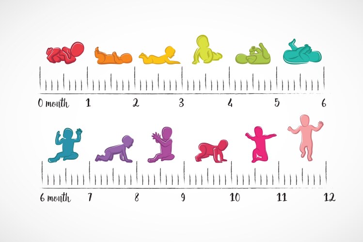 Set baby growth health and development icon Vector Image