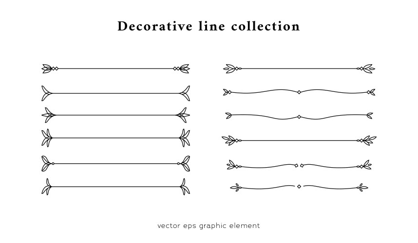 Decorative line divider border graphic element Vector Image