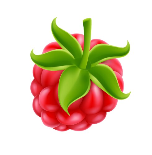 Funny raspberry surfing Royalty Free Vector Image