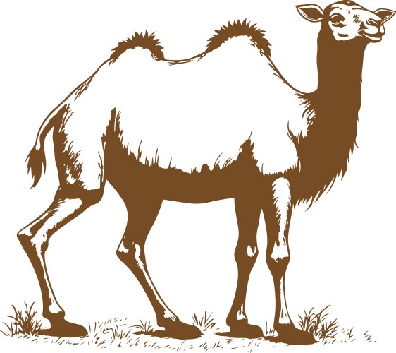 Black and White Camel Vector Images (over 9,000)