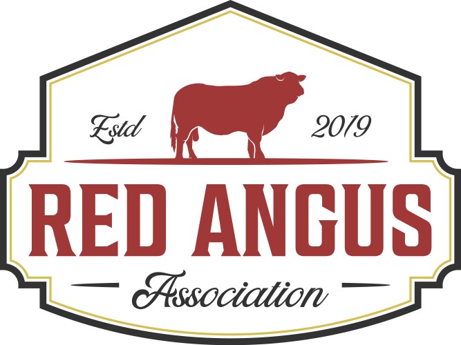 Angus Bull Silhouette Vector Images (over 1,100)