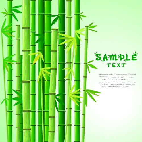 Background bamboo Royalty Free Vector Image - VectorStock