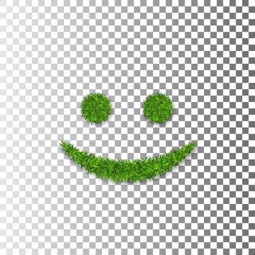 Green grass face smile smiley grassy icon Vector Image