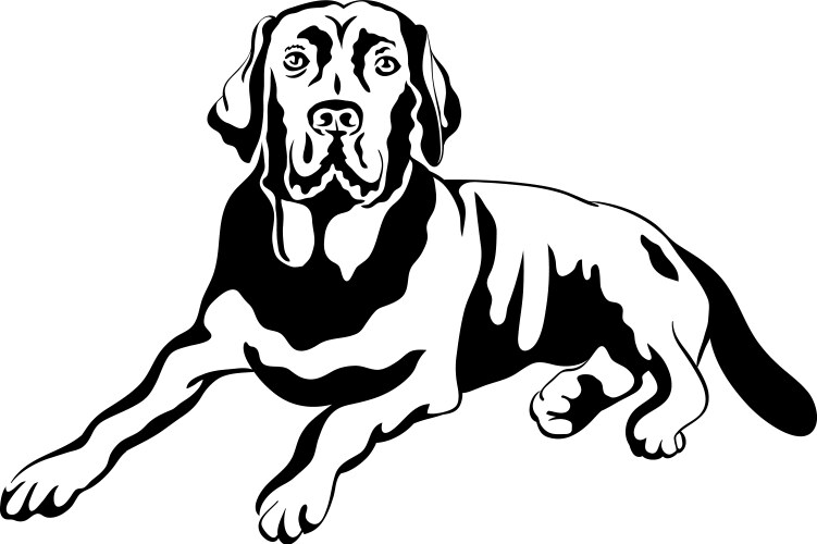 Labrador Vector Images (over 12,000)