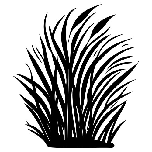 Grass garden sketch hand draw Royalty Free Vector Image