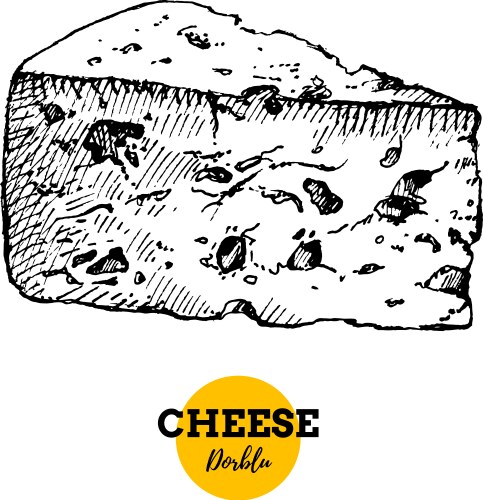 Emmental cheese drawing hand drawn food sketch Vector Image
