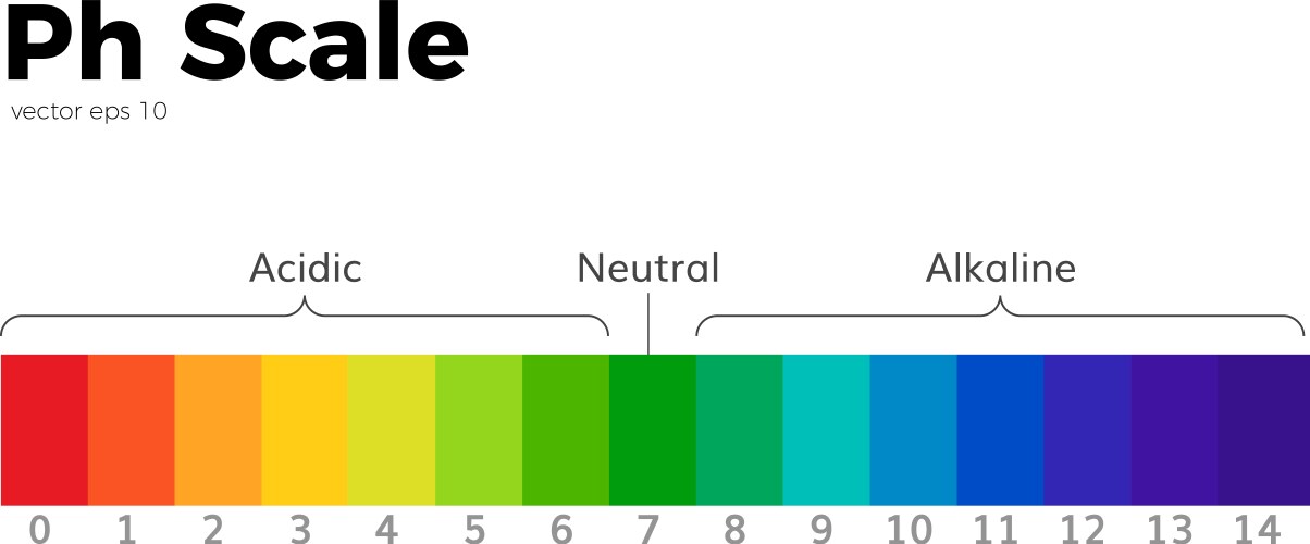 Ph scale universal indicator color chart Vector Image