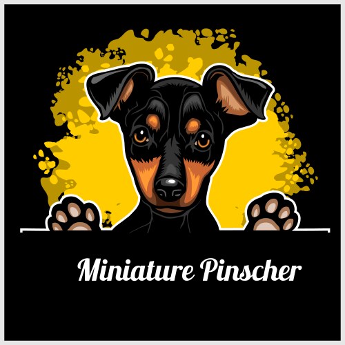 Miniature Pinscher Vector Images (over 180)